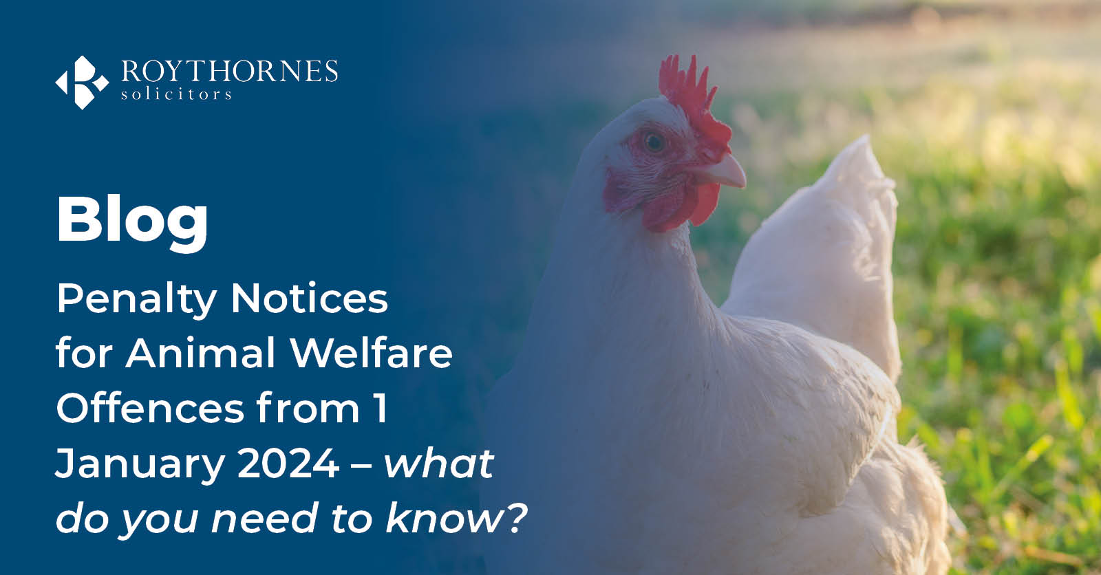 Penalty Notices for Animal Welfare Offences From 1 January 2024 - What ...